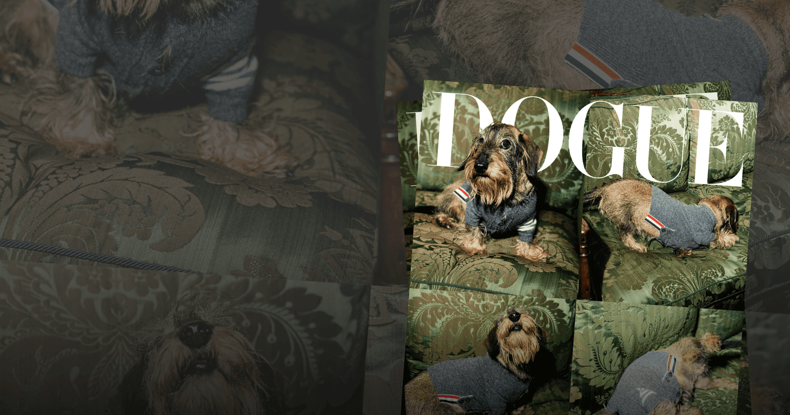 Видання Vogue представило онлайн-проєкт Dogue - Bazilik Media